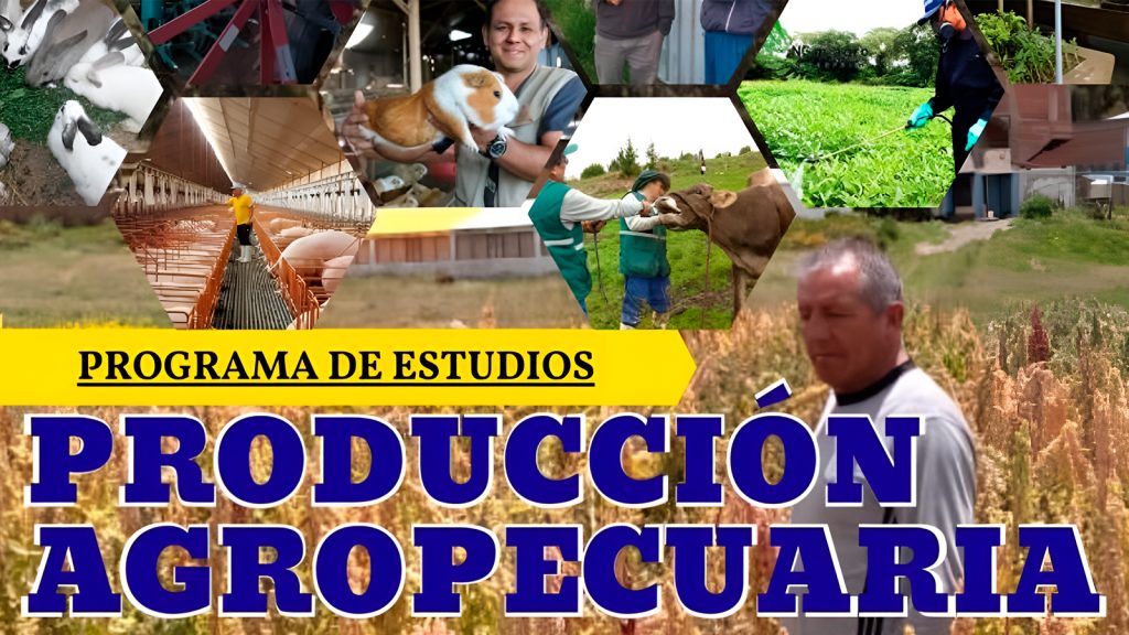 Producción Agropecuaria – Instituto de Educación Superior Juli